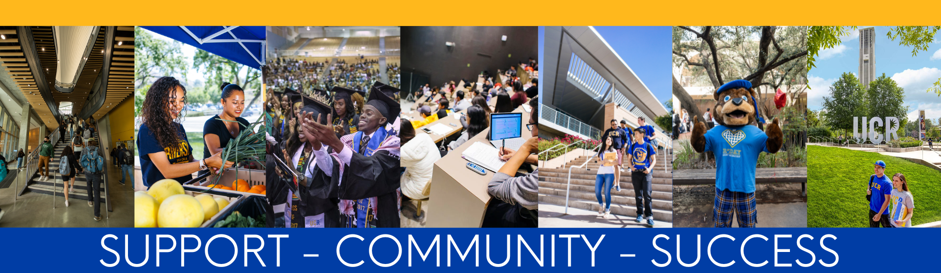 Kessler Scholars Program | Division of Undergraduate Education